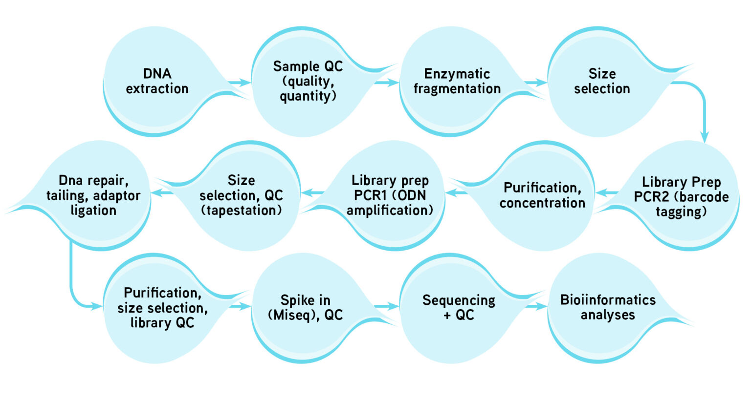 off-target Guide-Seq: הפרוטוקול החדש לניטור השימוש ב- CRISPR - בלוג ...