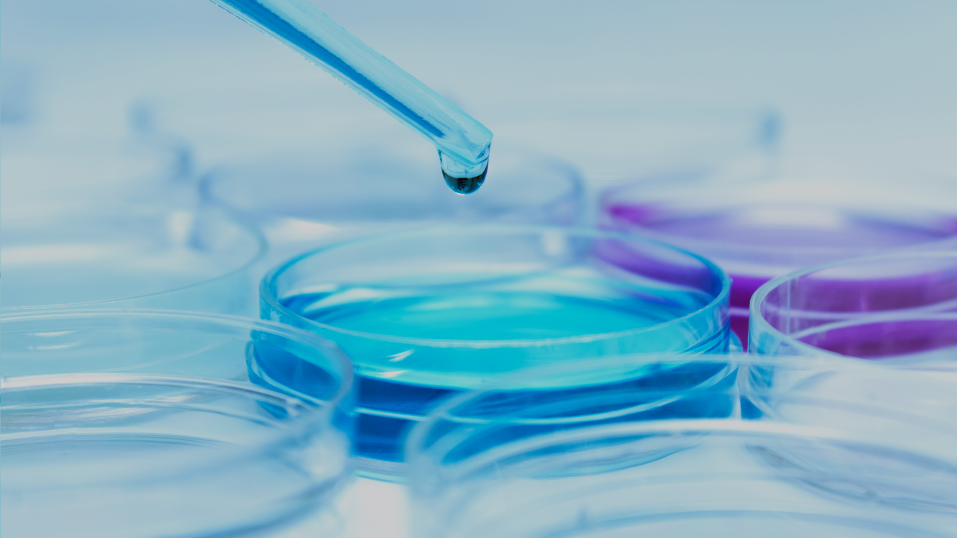 Hylabs - Microorganisms and Molecular Biology