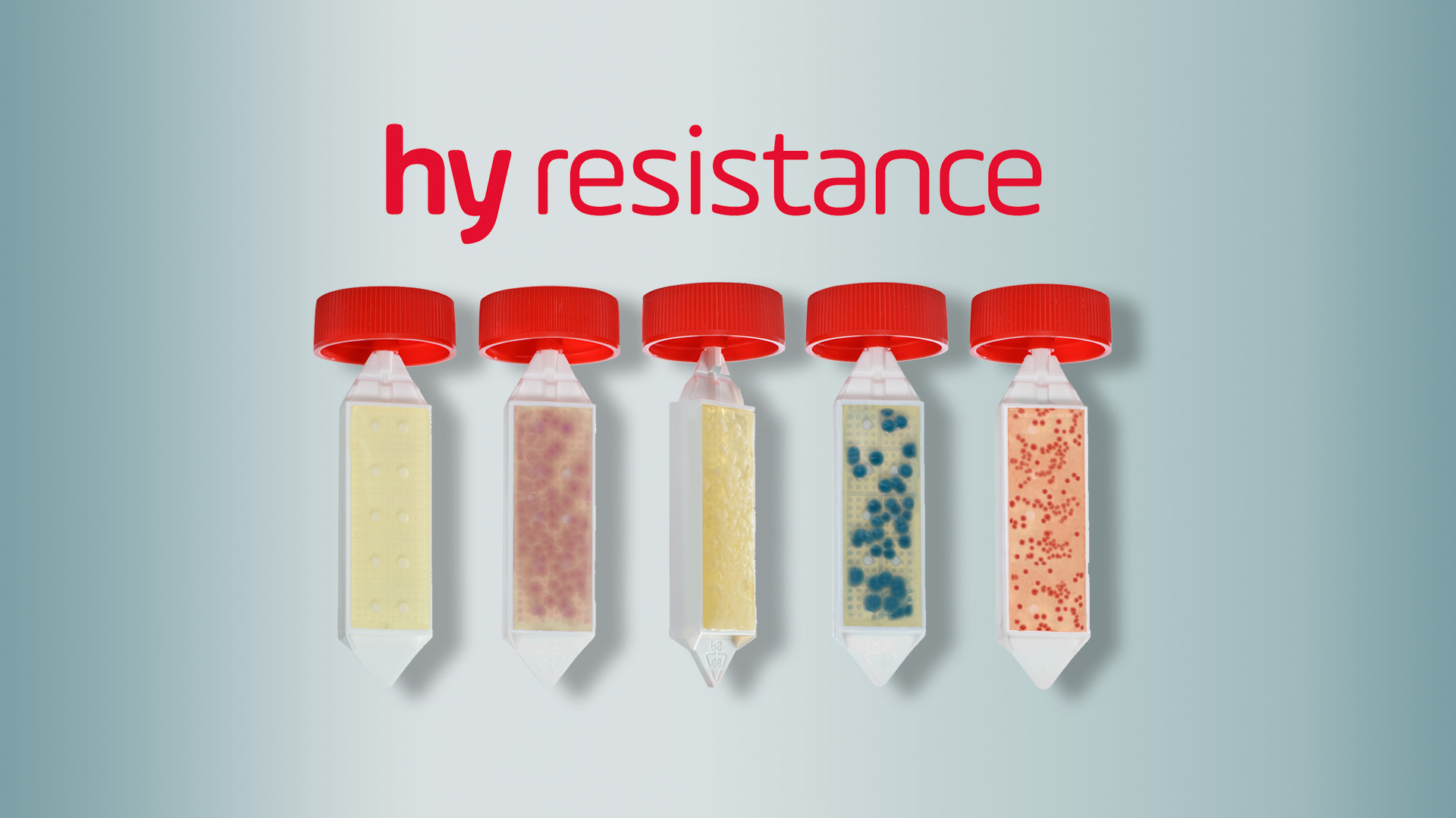 Hylabs - Microorganisms and Molecular Biology