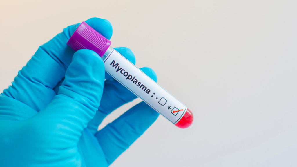 Mycoplasma Testing (Culture Method & PCR Method) - Hylabs