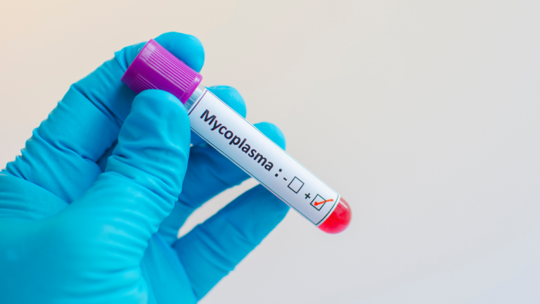 Mycoplasma Testing (Culture Method & PCR Method) - Hylabs