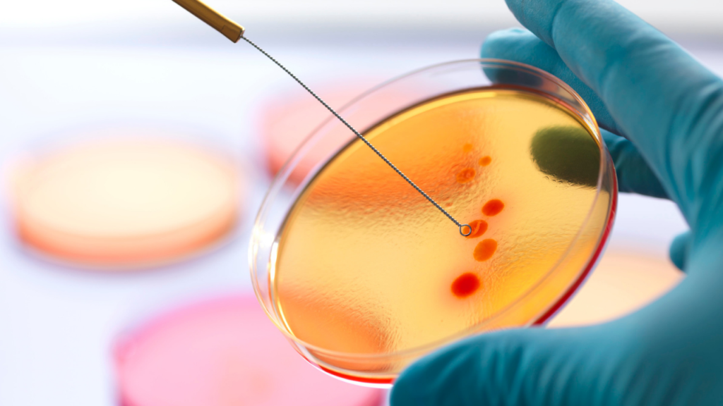 Microbial Identification - HyLabs