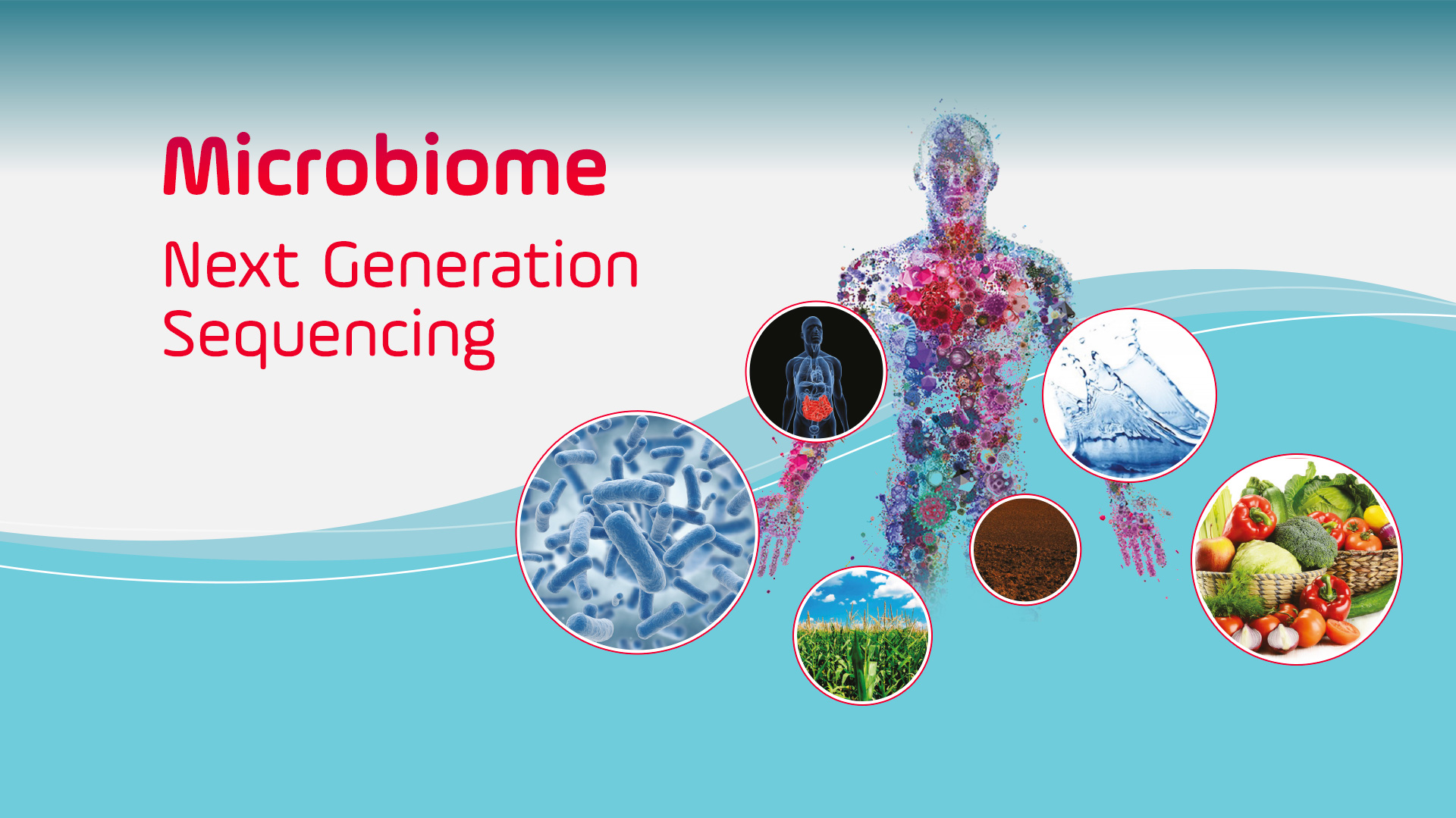 Hylabs - Microorganisms and Molecular Biology