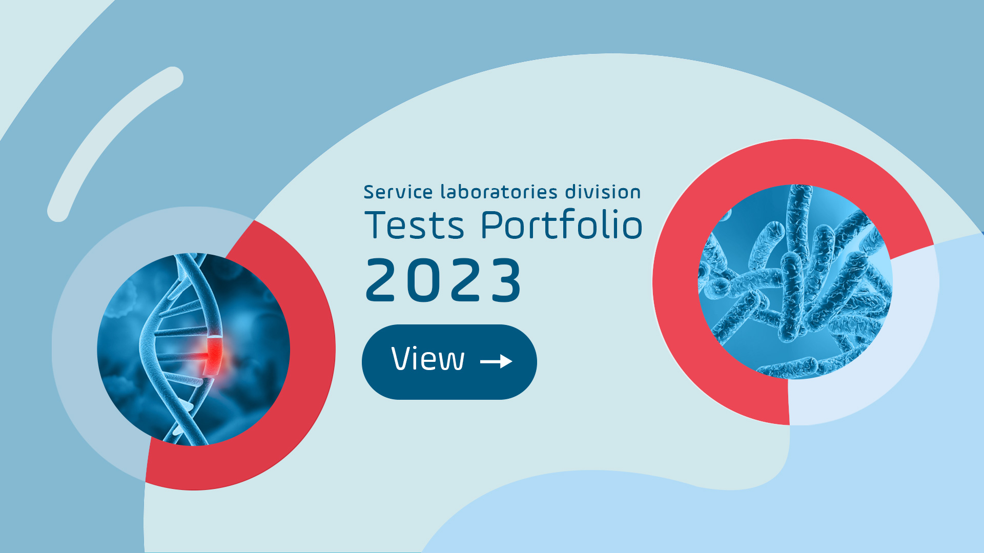 דף הבית - HyLabs